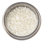 Nmp | Induce Biologics Usa