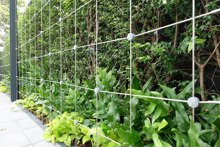 Jakob Rope System | Ocean Newline Co. Ltd.