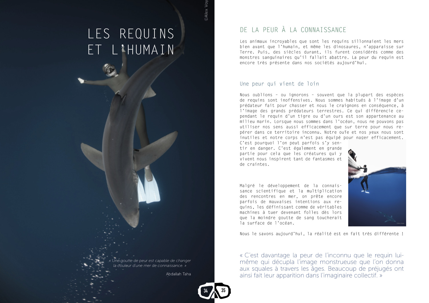 Les requins racontés aux enfants - MUSEO éditions