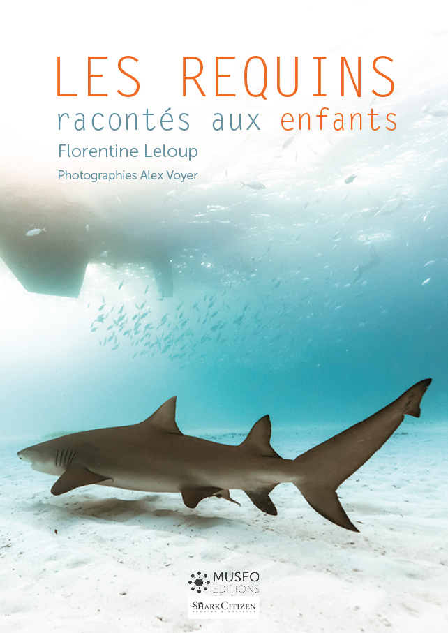 Les requins racontés aux enfants - MUSEO éditions