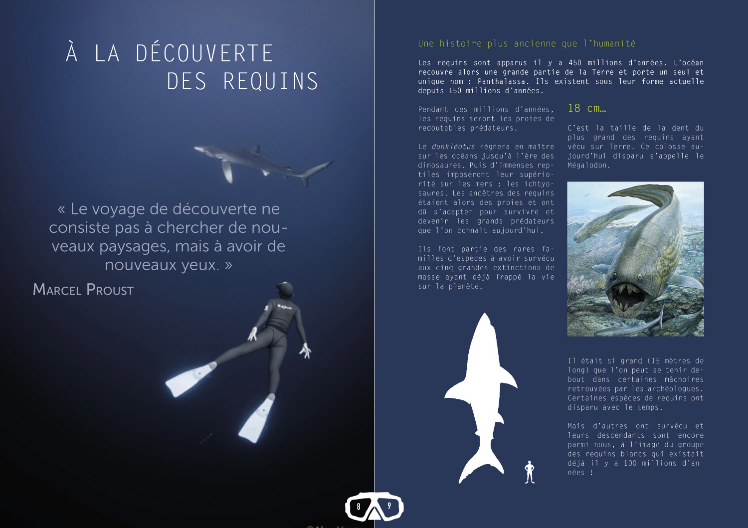 Les requins racontés aux enfants - MUSEO éditions