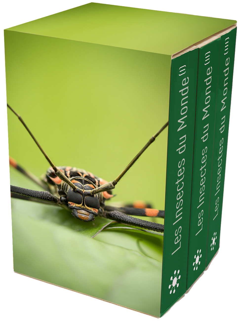 Les Insectes du Monde - Henri-Pierre Aberlenc