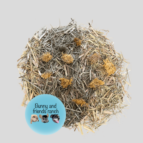 Marigold Grazing Grass Small Animal Forage Mix | Bunny And Friends Ranch