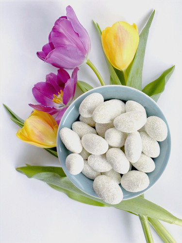 Aspen Mint Chocolate Almonds | Saba Nuts & Dried Fruit | Port Coquitlam, BC