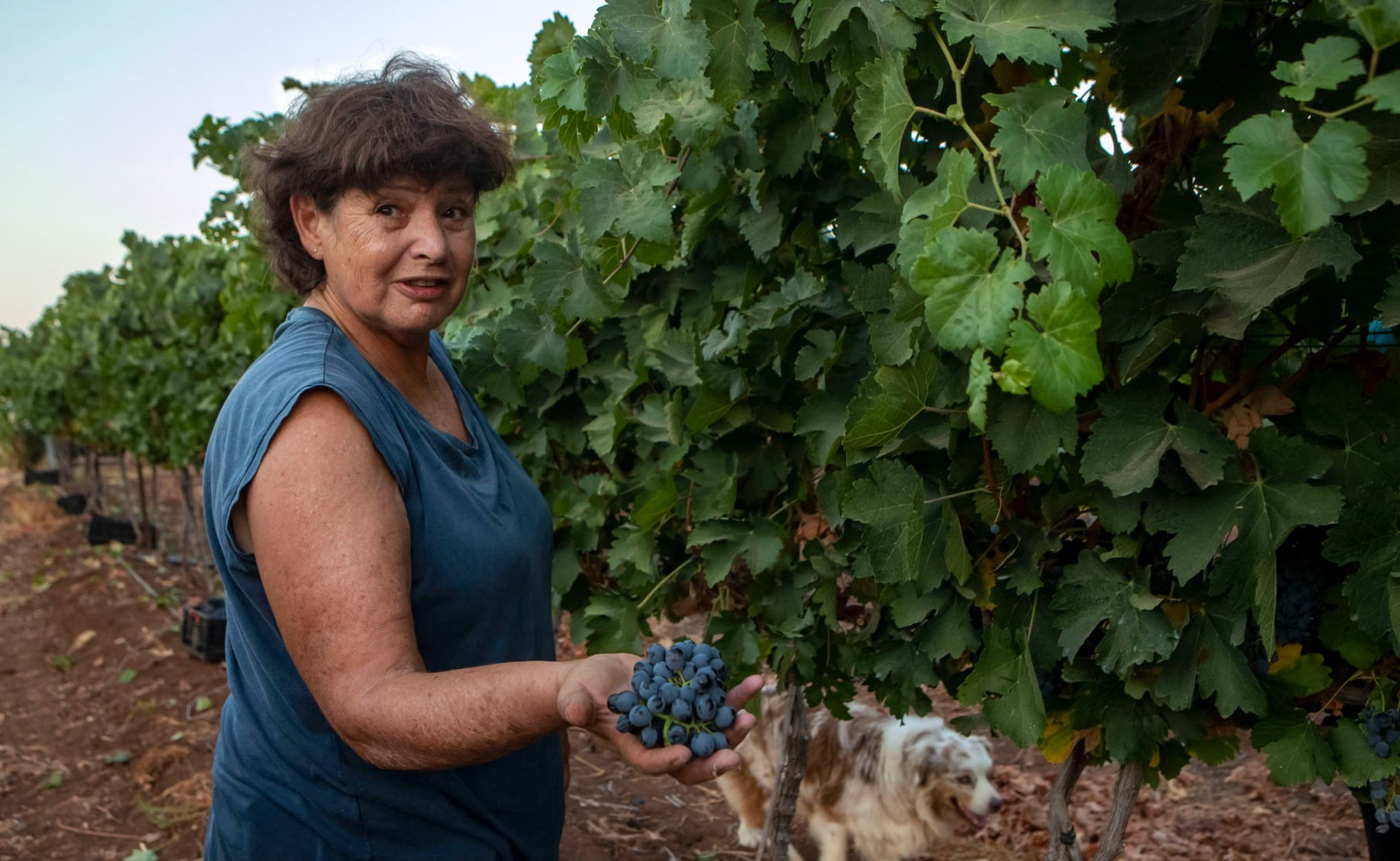 Orna Lev | dpsimages