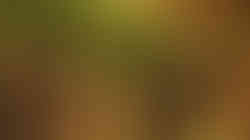 Download Revamp | Revamp Xenoverse 2