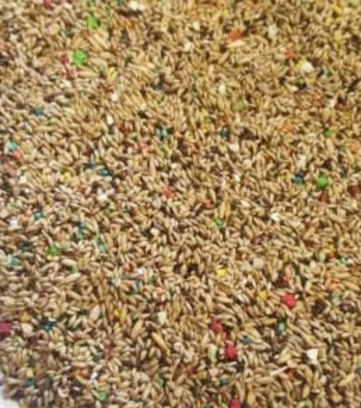 Seed Mixes | Paterson Bird Store
