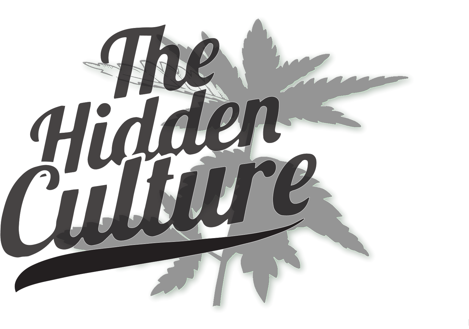 Our Story | The Hidden Culture