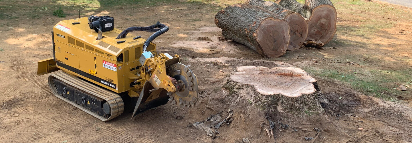 Tree Stump Removal Services | Belles Tree