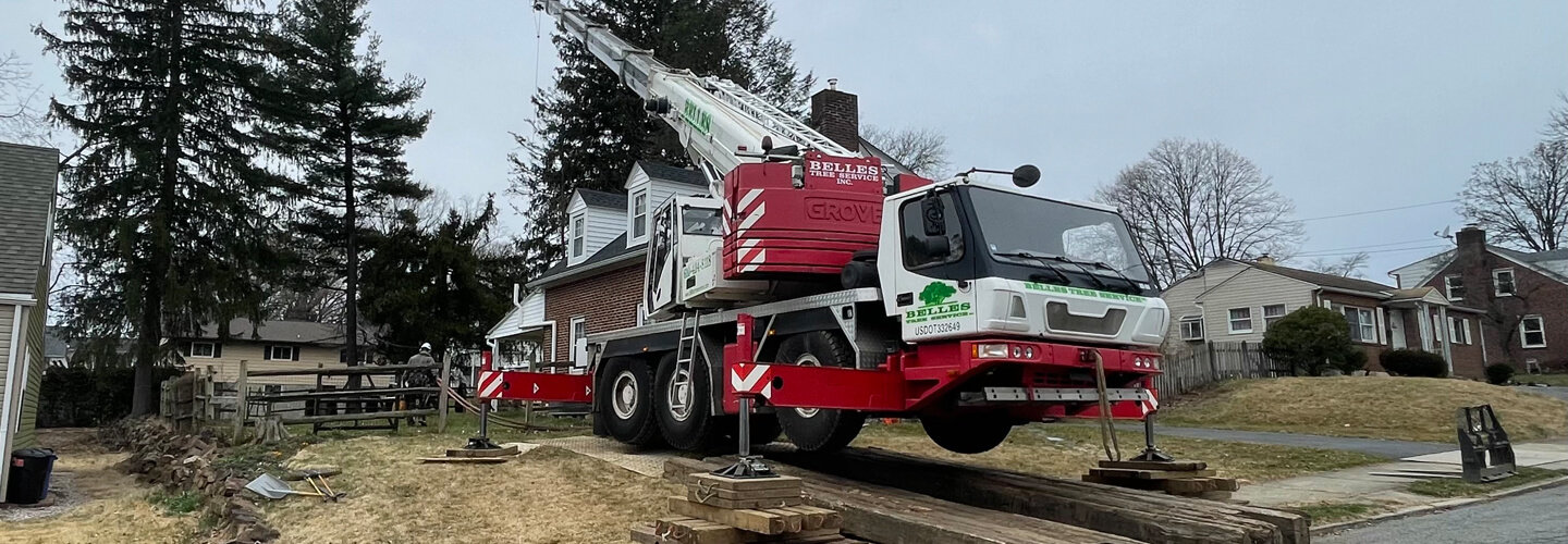 Crane Assisted Tree Removal Services in Pennsylvania