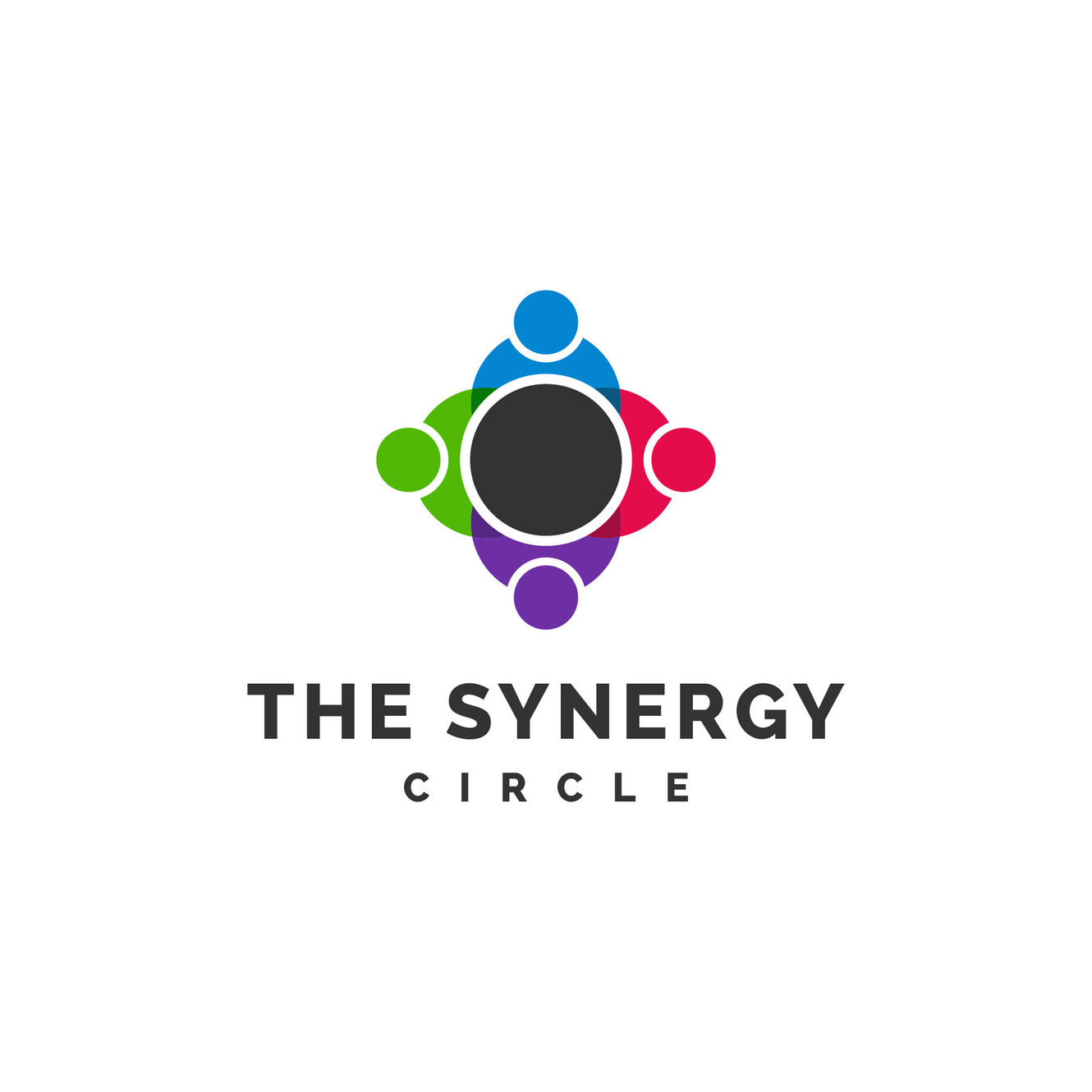 HOME | The Synergy Circle
