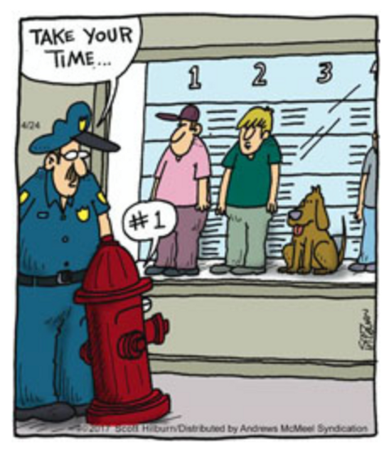 Honest but Mistaken Eyewitness Identification: Useful or Unscrupulous?