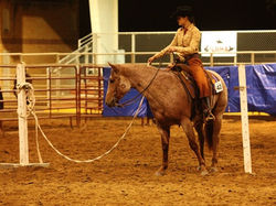 Illinois Ranch Horse Association