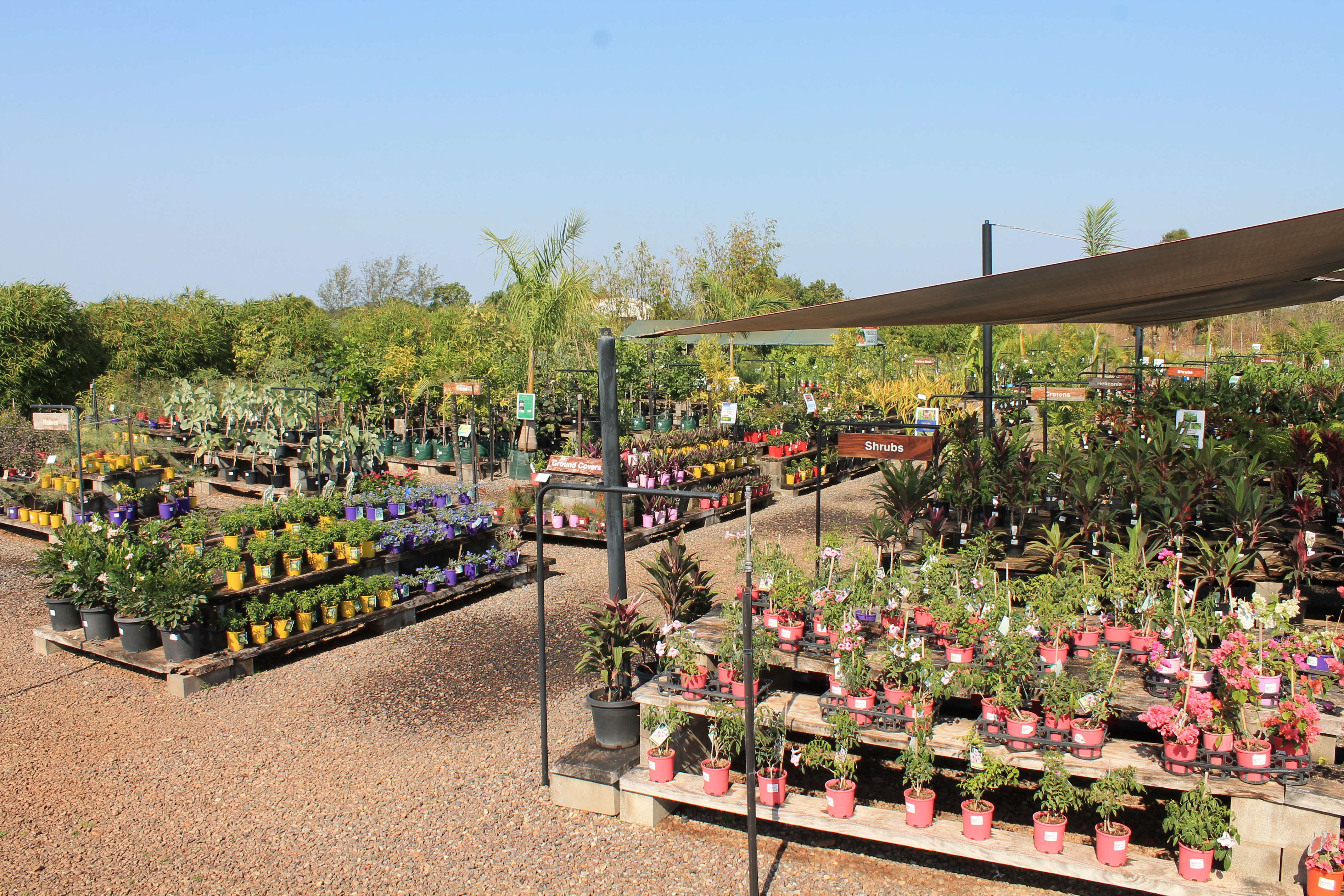 Retail Nursery | Paradise Nursery | Knuckey Lagoon