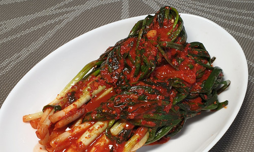 파김치 Spring Onion KIMCHI 2.4kg (PA KIMCHI) | Han Sung Kim Chi
