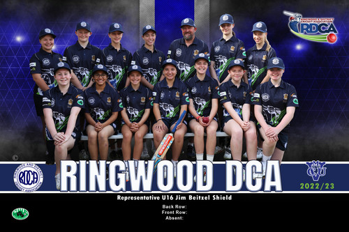 RDCA Cricket Team or Fun Shot | Field of View