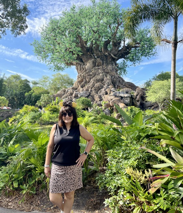 Unlocking the Secrets: When To Visit Walt Disney World?
