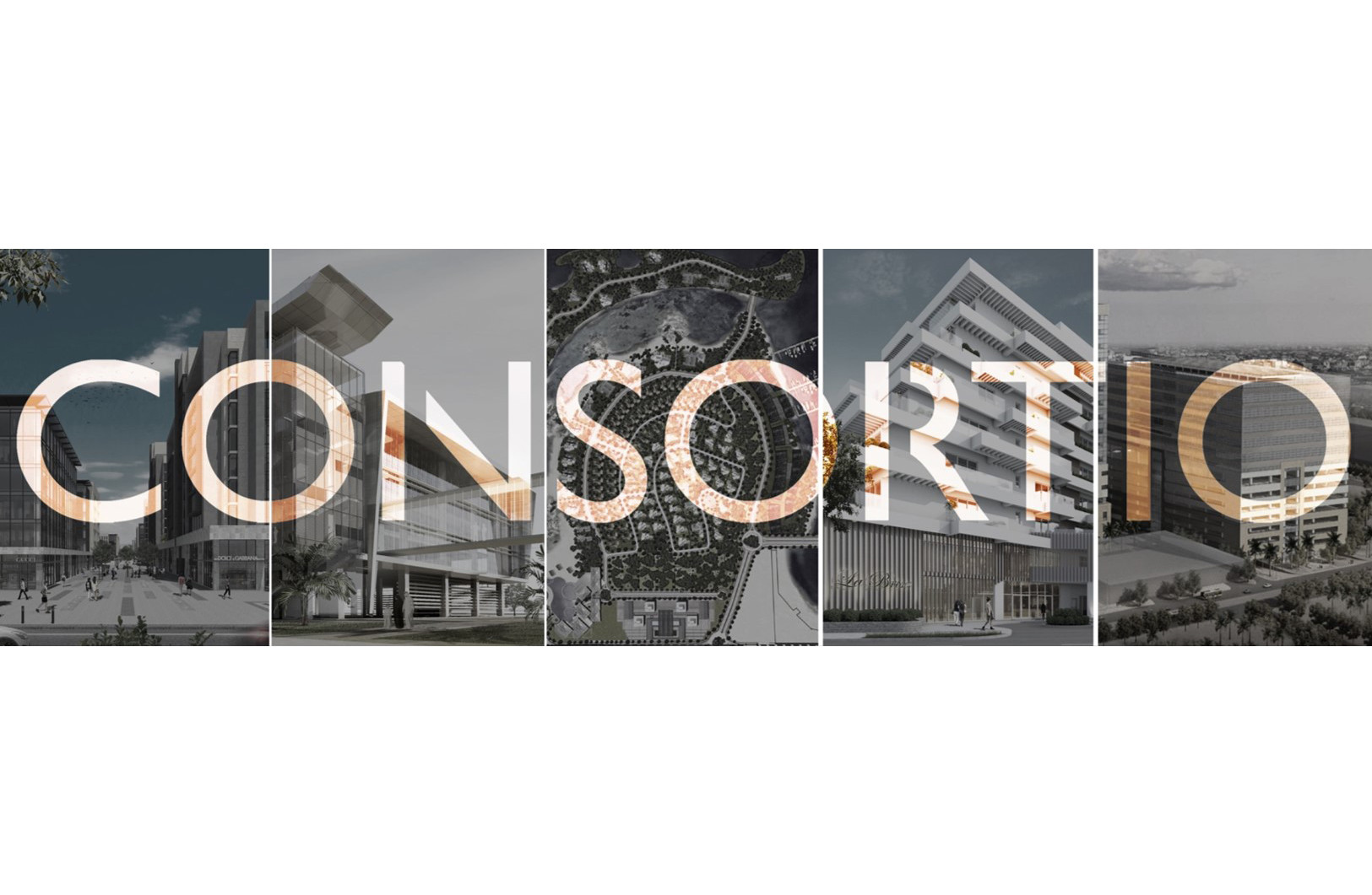 Profile | Consortio International