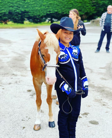 Horse Shows & 4-H | Shortstuffequestrian