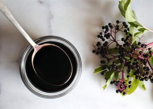 undiluted.LIFE Elderberry Syrup | MDCC MI