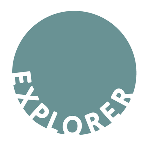 Mini die Bulle explorer | Ha Pi Little fox