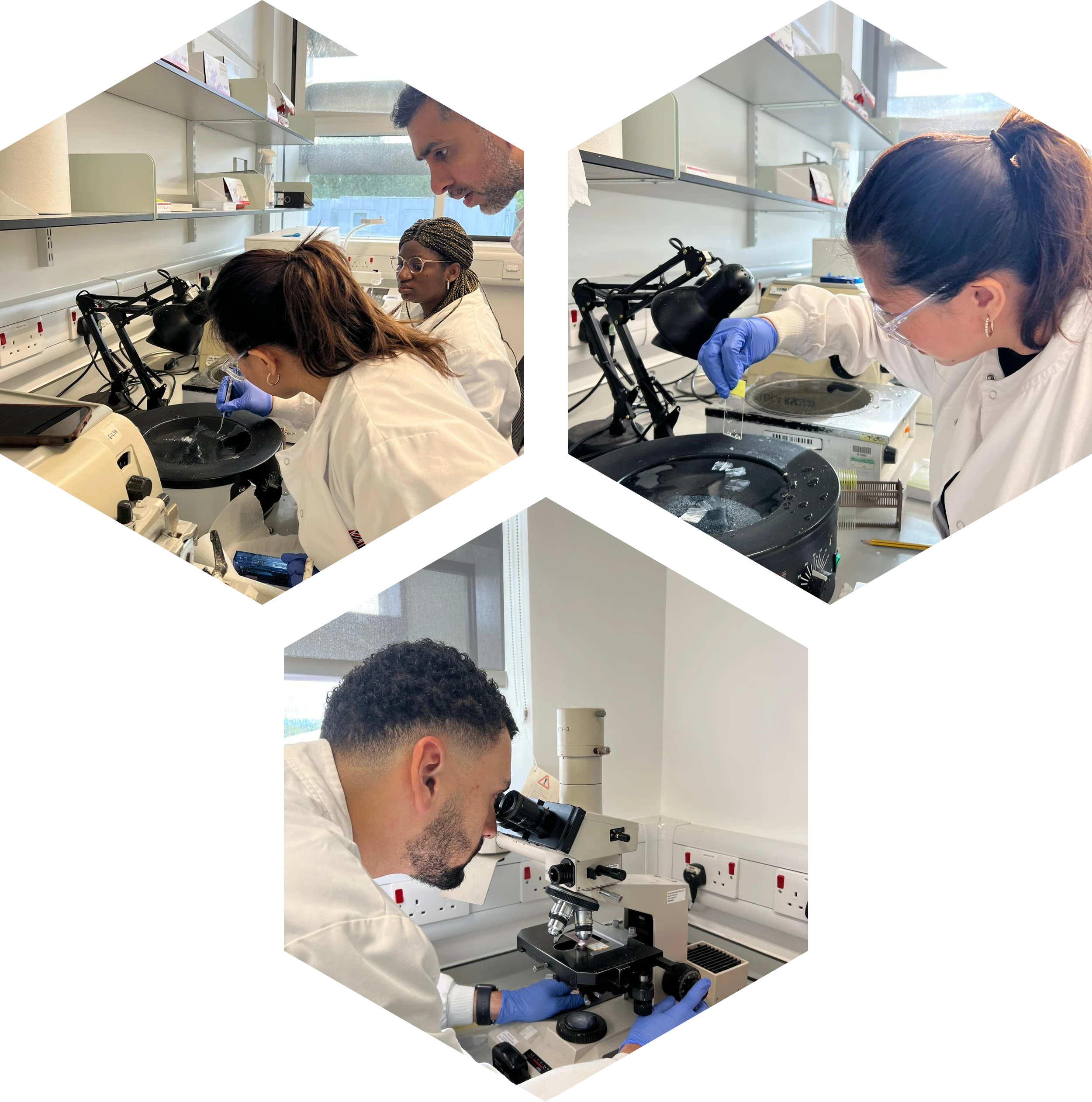 Biomed Lab Training | Biomedical sciences | Greater London, UK