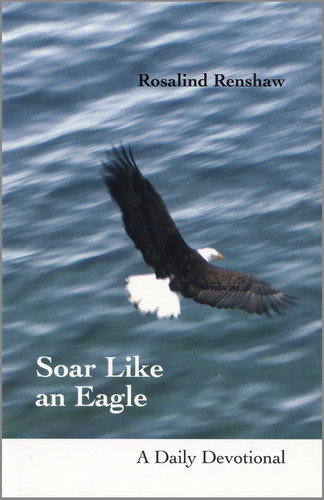 Soar Like an Eagle | A Daily Devotional | Rosalind Renshaw