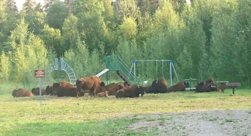 Hamlet of Fort Liard | Northwest Territories