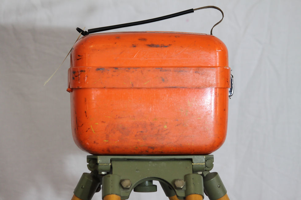 LEVELS | the-wild-collection