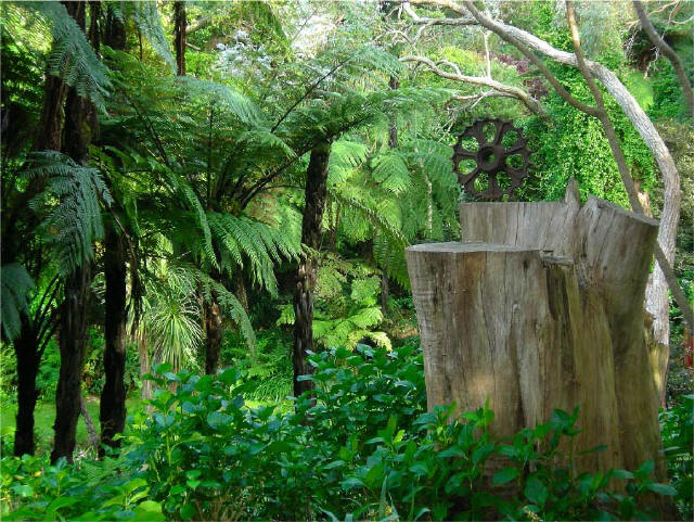 Katikati Bird Gardens