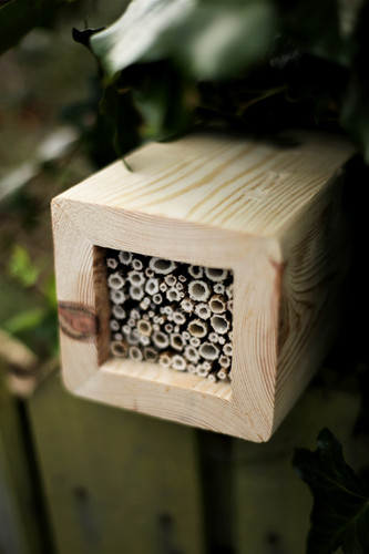 100% Wood Solitary Bee Nest Box | Understory