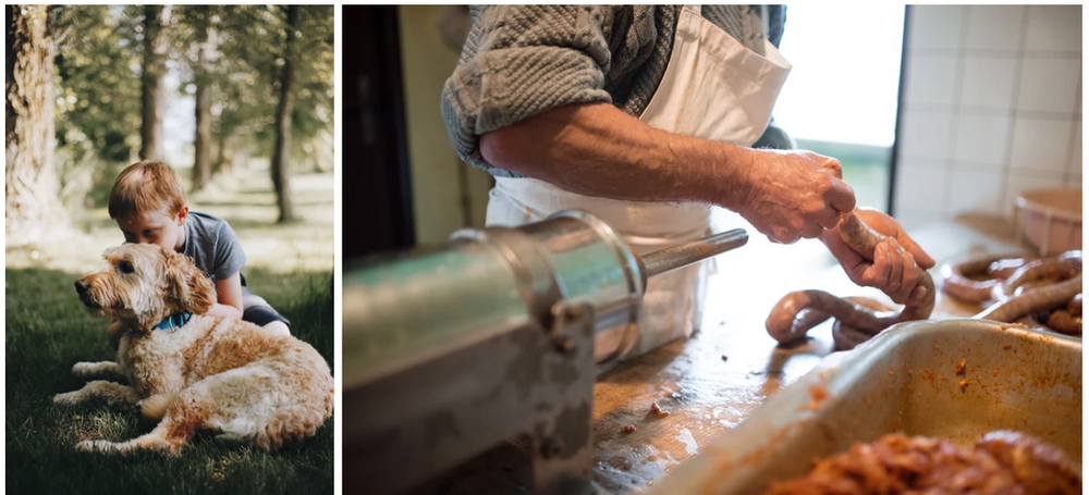 Plan Your Visit to the Farm!