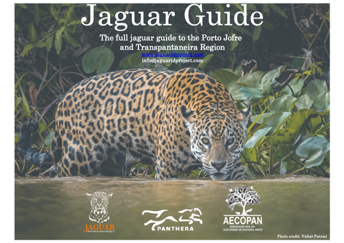 Digital Guide Files | Jaguar ID Project