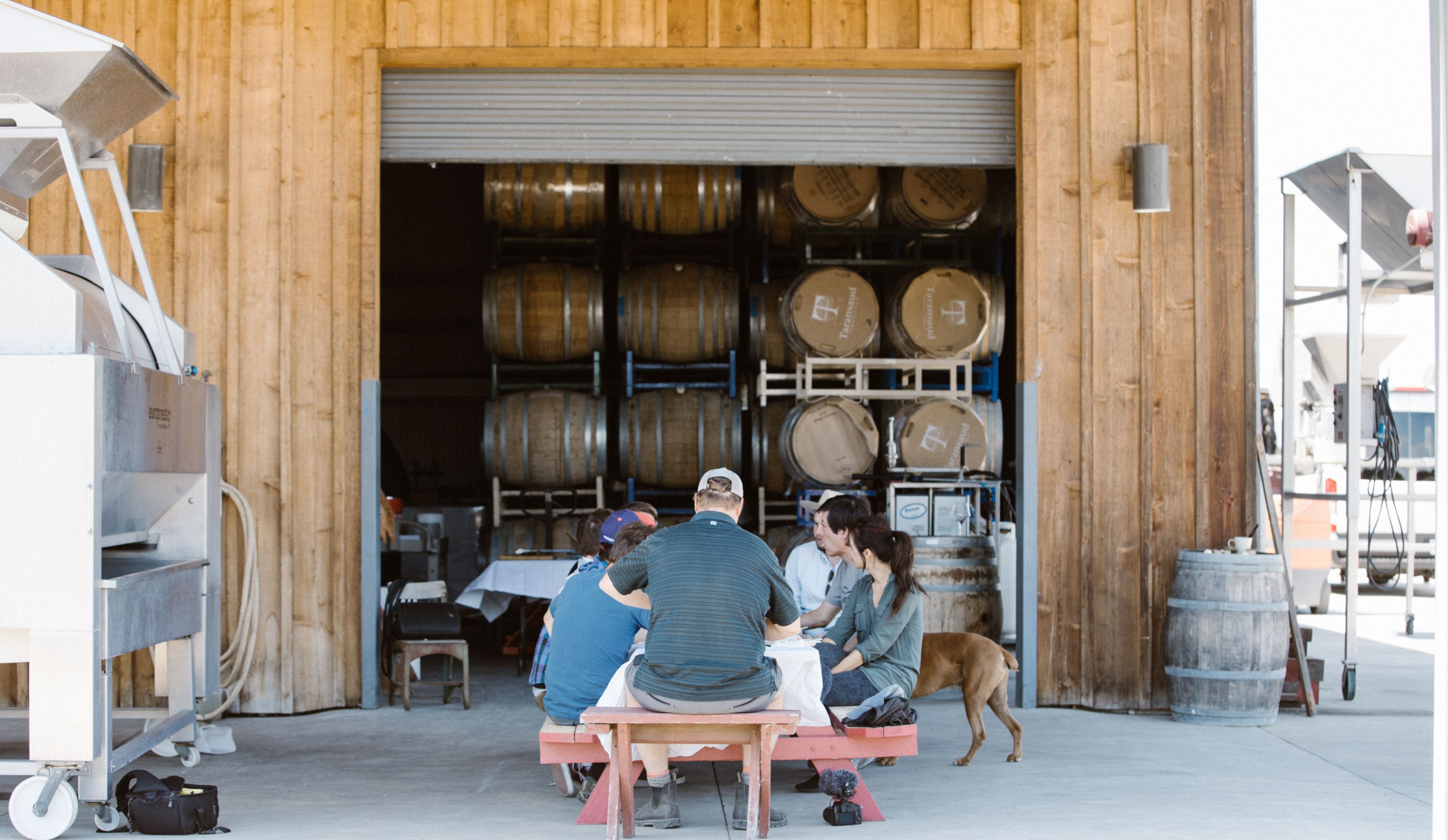Winery | Storm Wines | United States | Ernst Storm