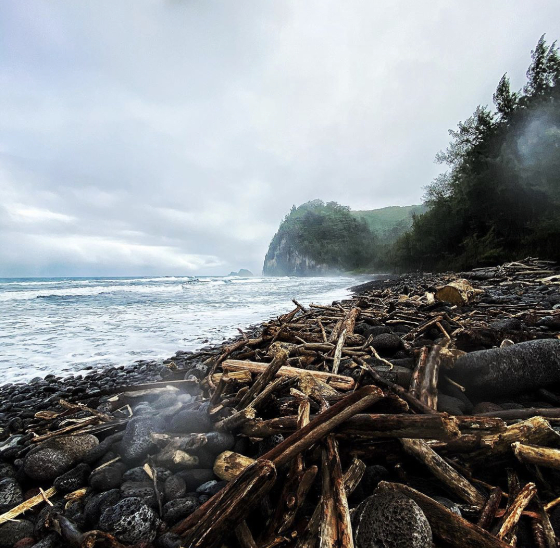 Home | ASHTON HICKS Studios