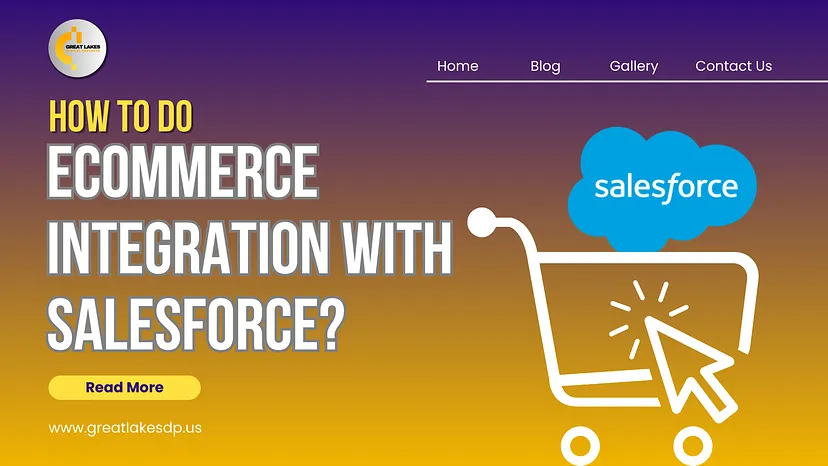 How to do Ecommerce Integration with Salesforce?