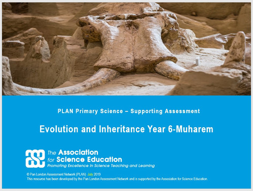 Examples of work - Evolution and inheritance (Y6) - Muharem | PLAN