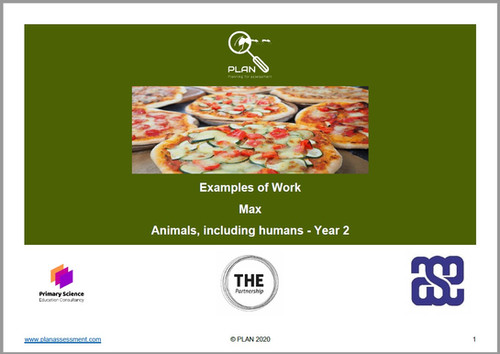 Knowledge: Examples of Work - Animals, including humans (Y2) | PLAN