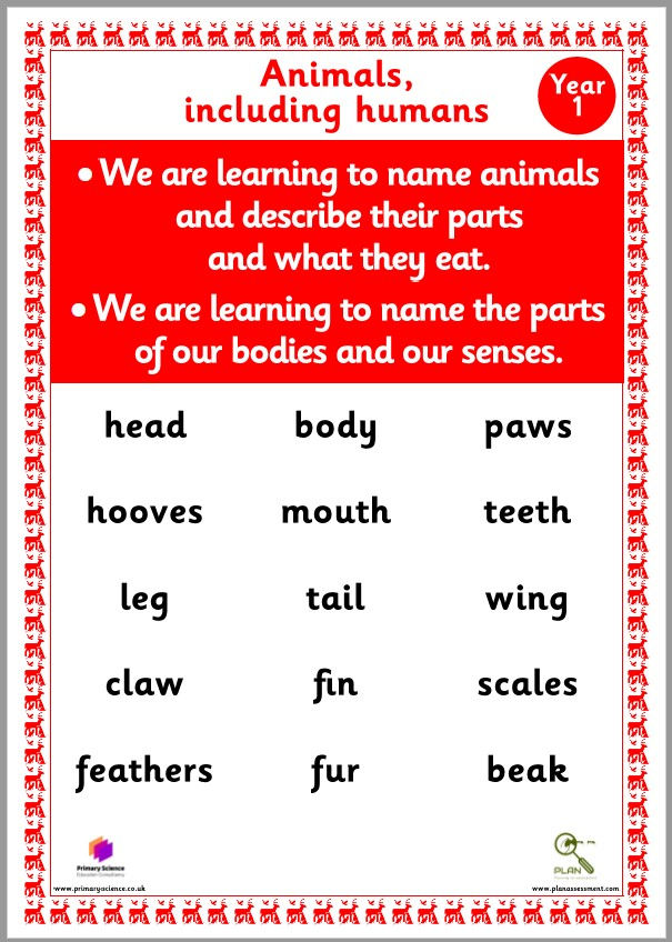 Vocabulary Posters Year 1 Plan