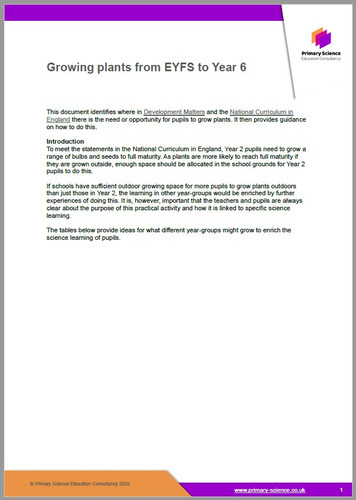 Growing Plants from EYFS to Year 6 | PSEC