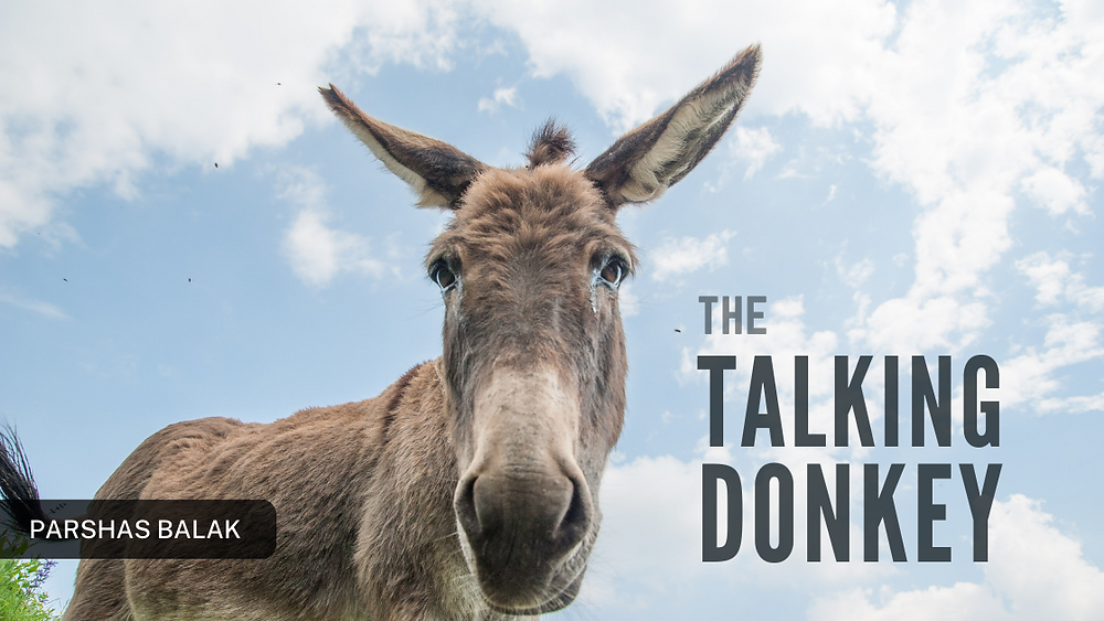 The Talking Donkey