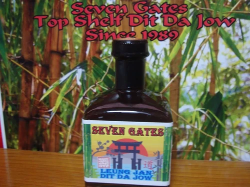 Leung Jan - Training & Conditioning - Dit Da Jow | Seven Gates 3