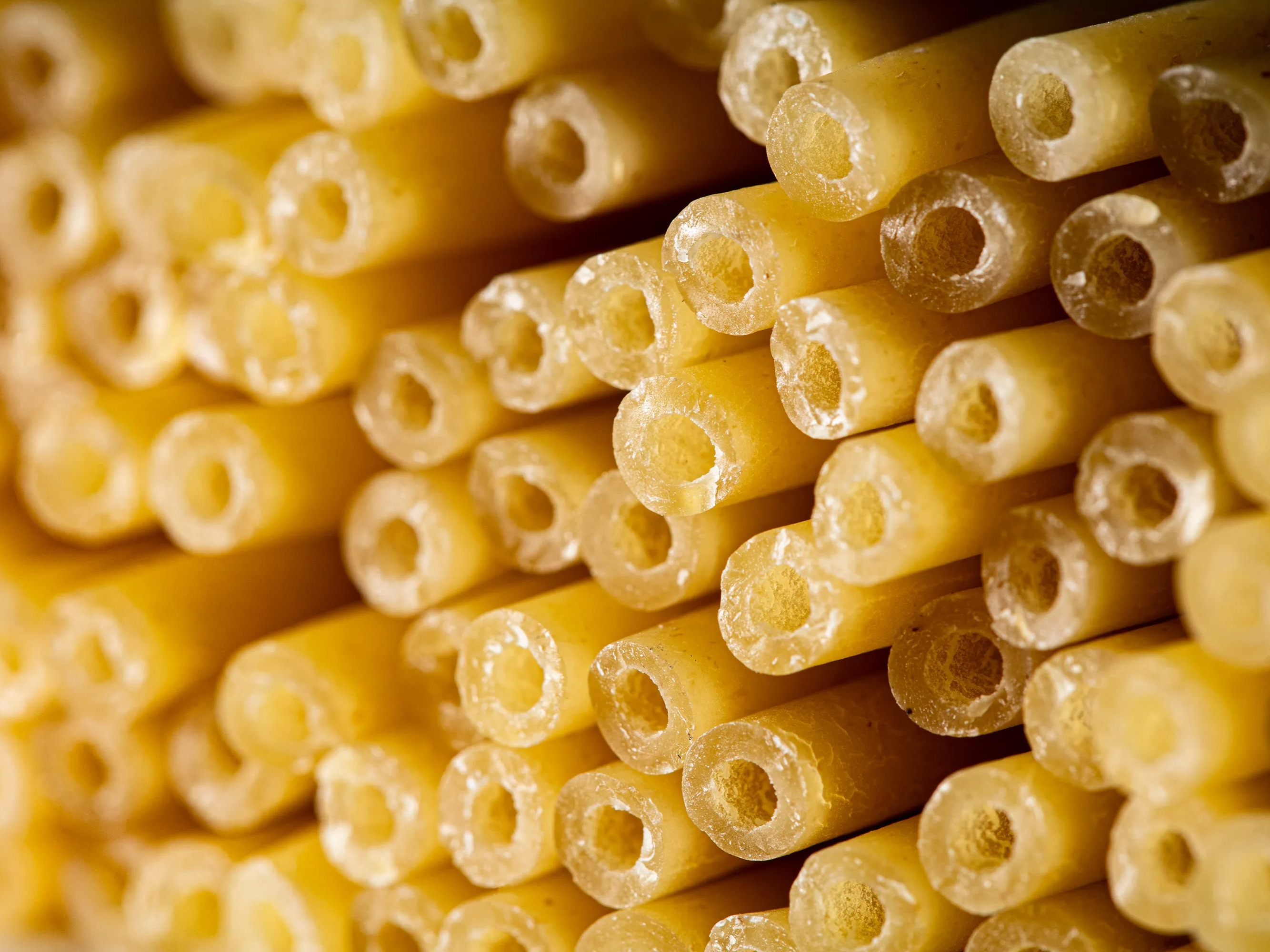 Pasta Shapes 101: A Visual Guide to Different Types of Pasta