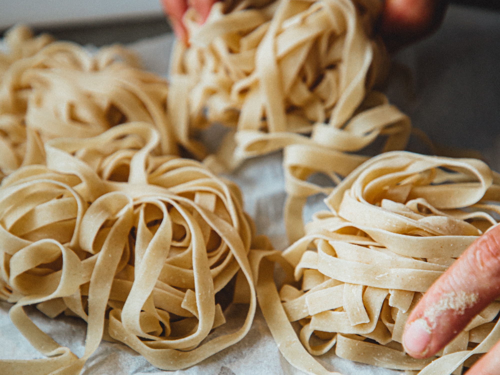 Pasta Shapes 101: A Visual Guide to Different Types of Pasta