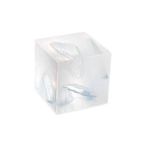 Wound Cube™ Gen2 | con10gency