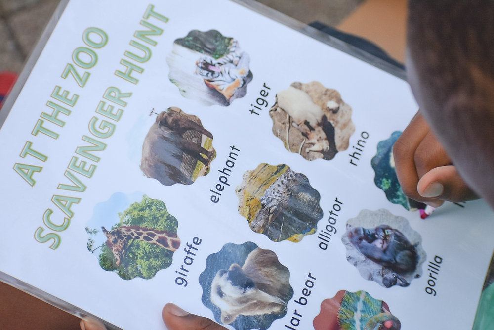 Zoo Scavenger Hunt: Free Printable with Real Photos of Animals