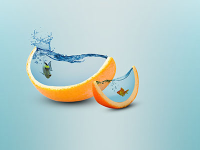 Indigo8 Corporate Services | Design and communication