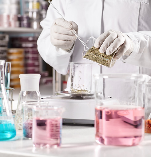 SERVICES | e2epharma