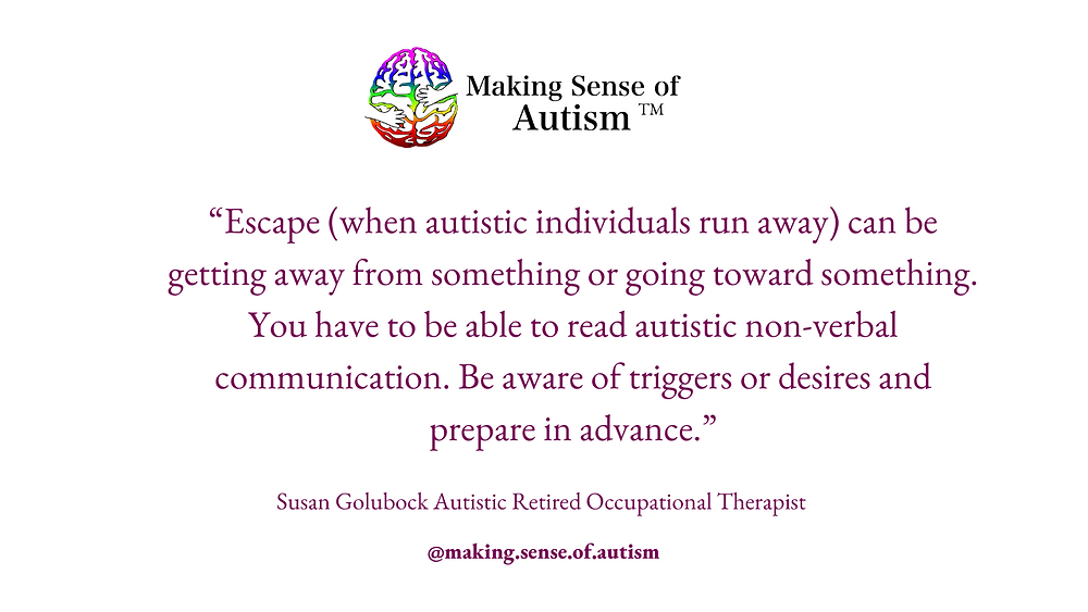 Understanding Elopement in Autistic Children: Exploring the Why and How