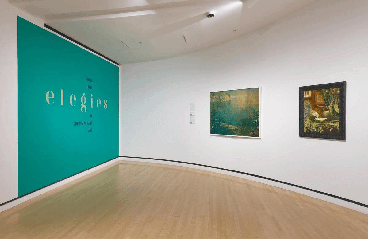 Monique Long | Contemporary Art Curator and Writer